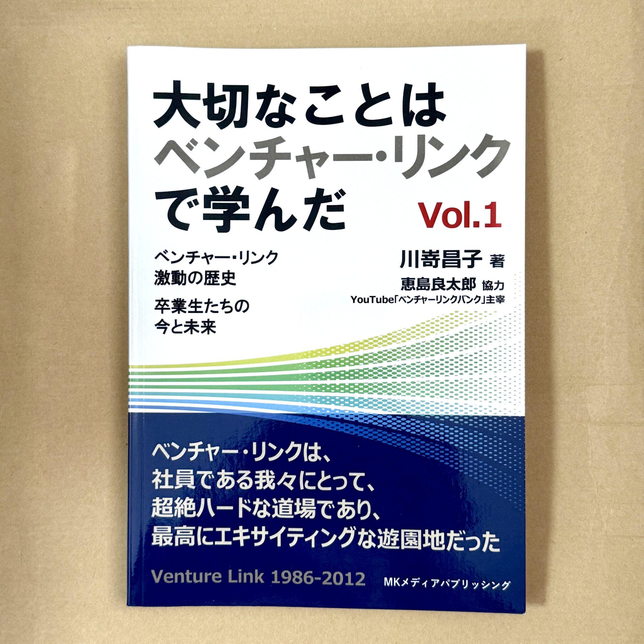 ベンチャー・リンクの実像に迫る元社員たちの証言集 | MK Media Publishing